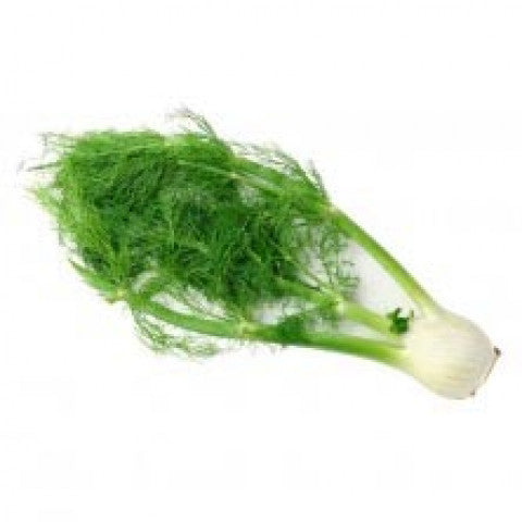 Fennel Bunch - Organic Bunch – Bundlfresh
