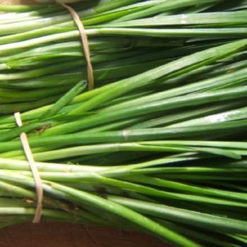 Chives (Bunch) – Bundlfresh